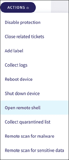 Using the remote shell to access endpoint devices