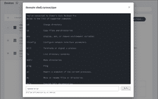 Using the remote shell to access endpoint devices
