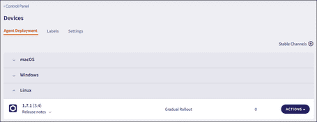Deploying Coro on Linux devices